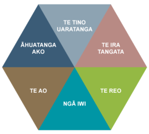 Te Aho Matua - Te Rūnanga nui o ngā Kura Kaupapa Māori o Aotearoa